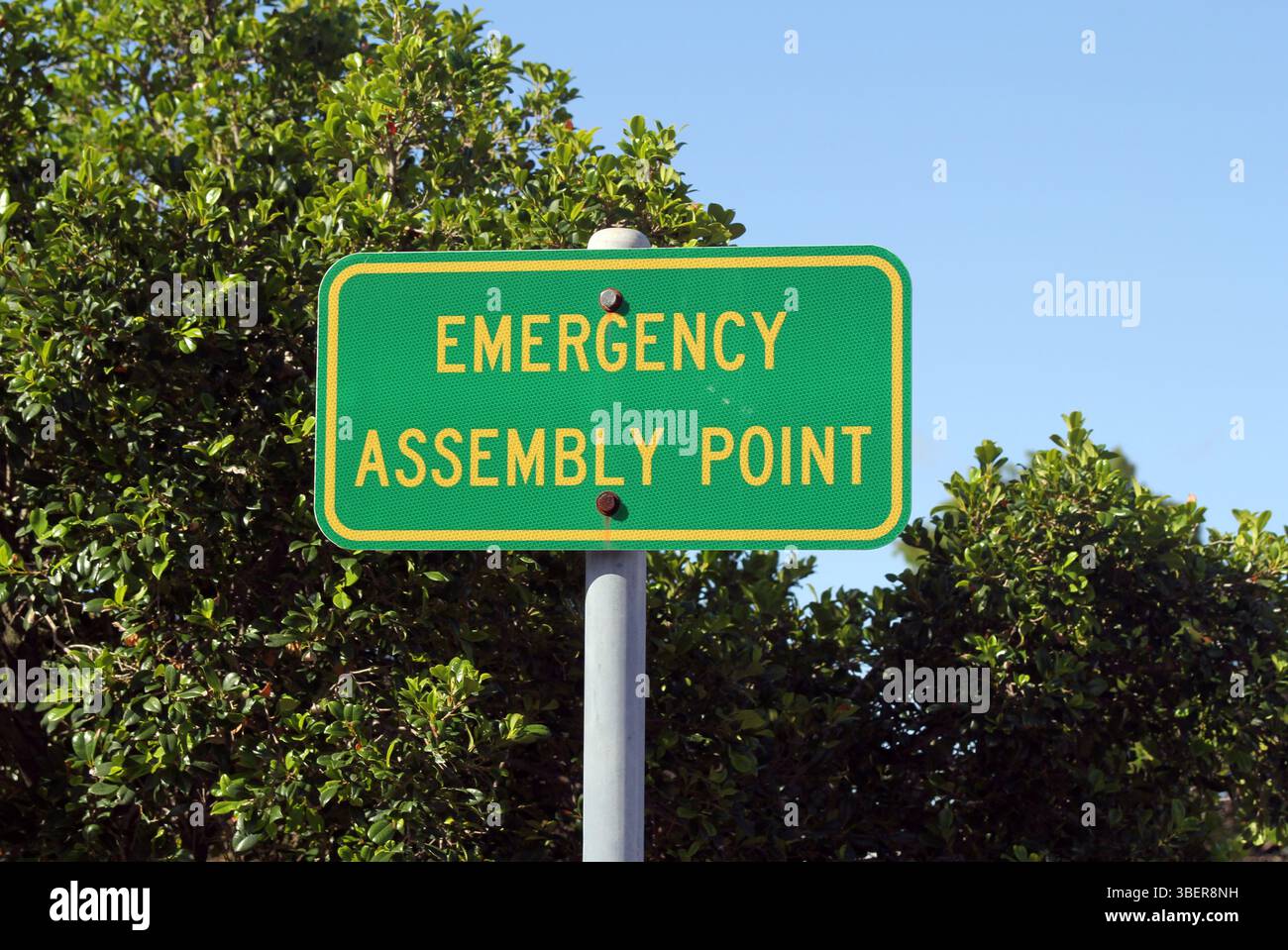 Emergency Assembly Point sign attached to a metal pole and surrounded ...