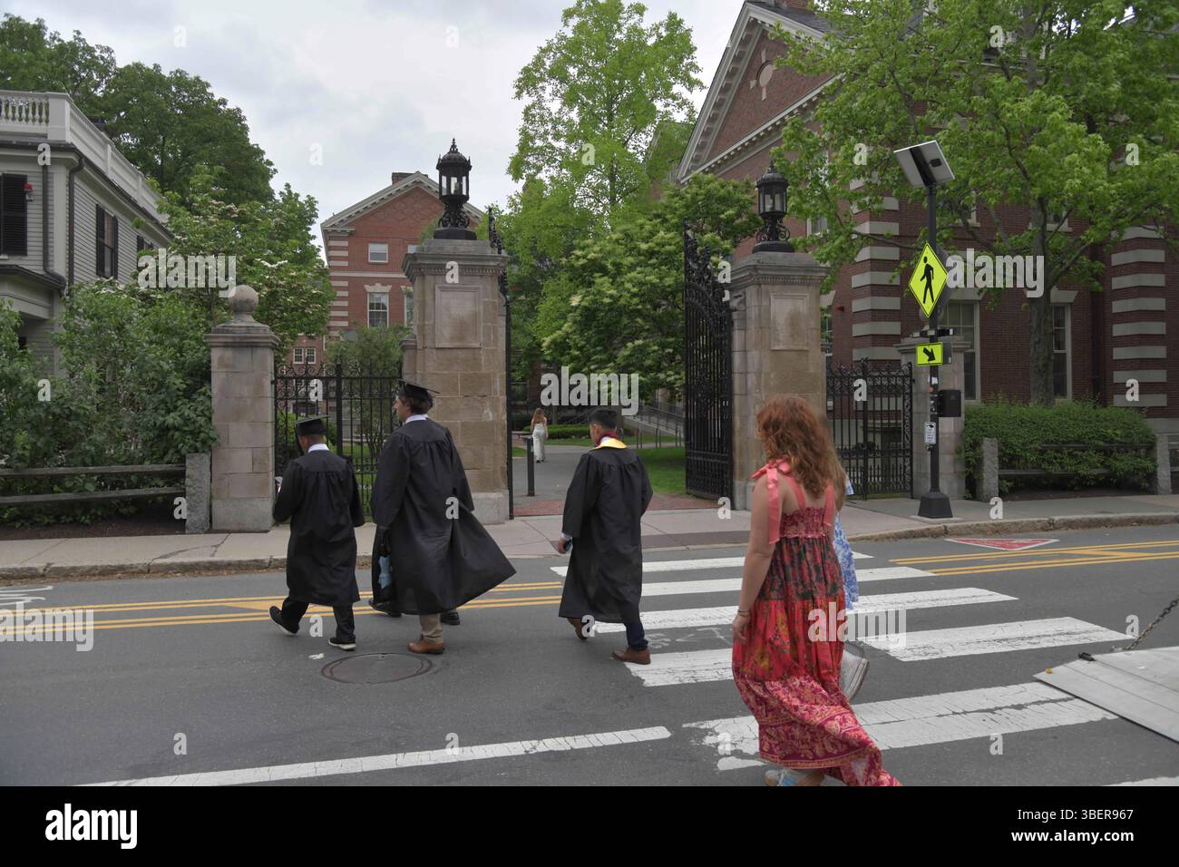 May 29, 2025, Cambridge, Massachusetts, U.S: Graduation ceremonies ...