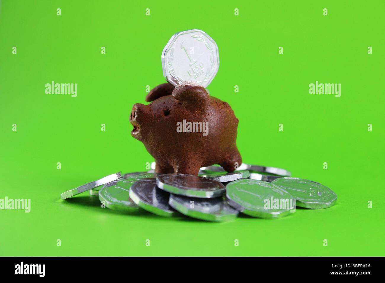 Silver pig hi-res stock photography and images - Alamy