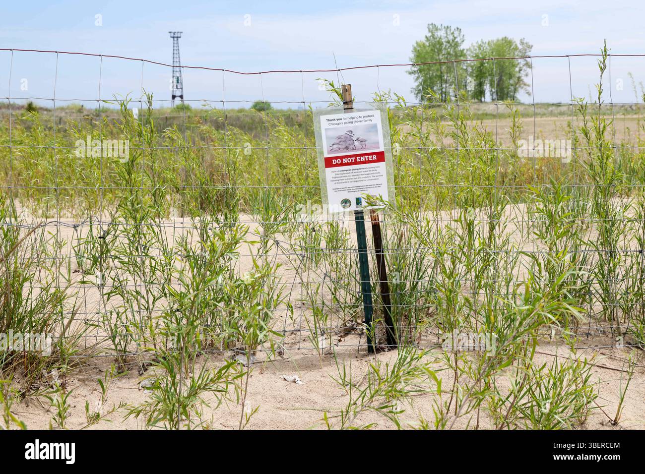 The area is closed to protect Sea Rocket and Imani, two endangered ...