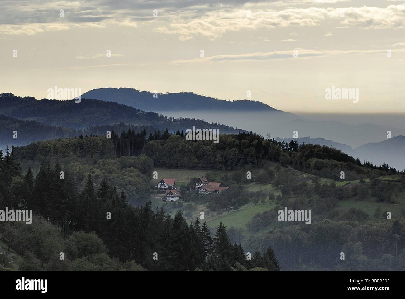 Black Forest idyll (nigra silva Stock Photo - Alamy