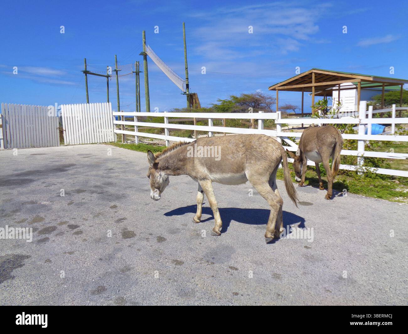 Street photography cyclades hi-res stock photography and images - Alamy