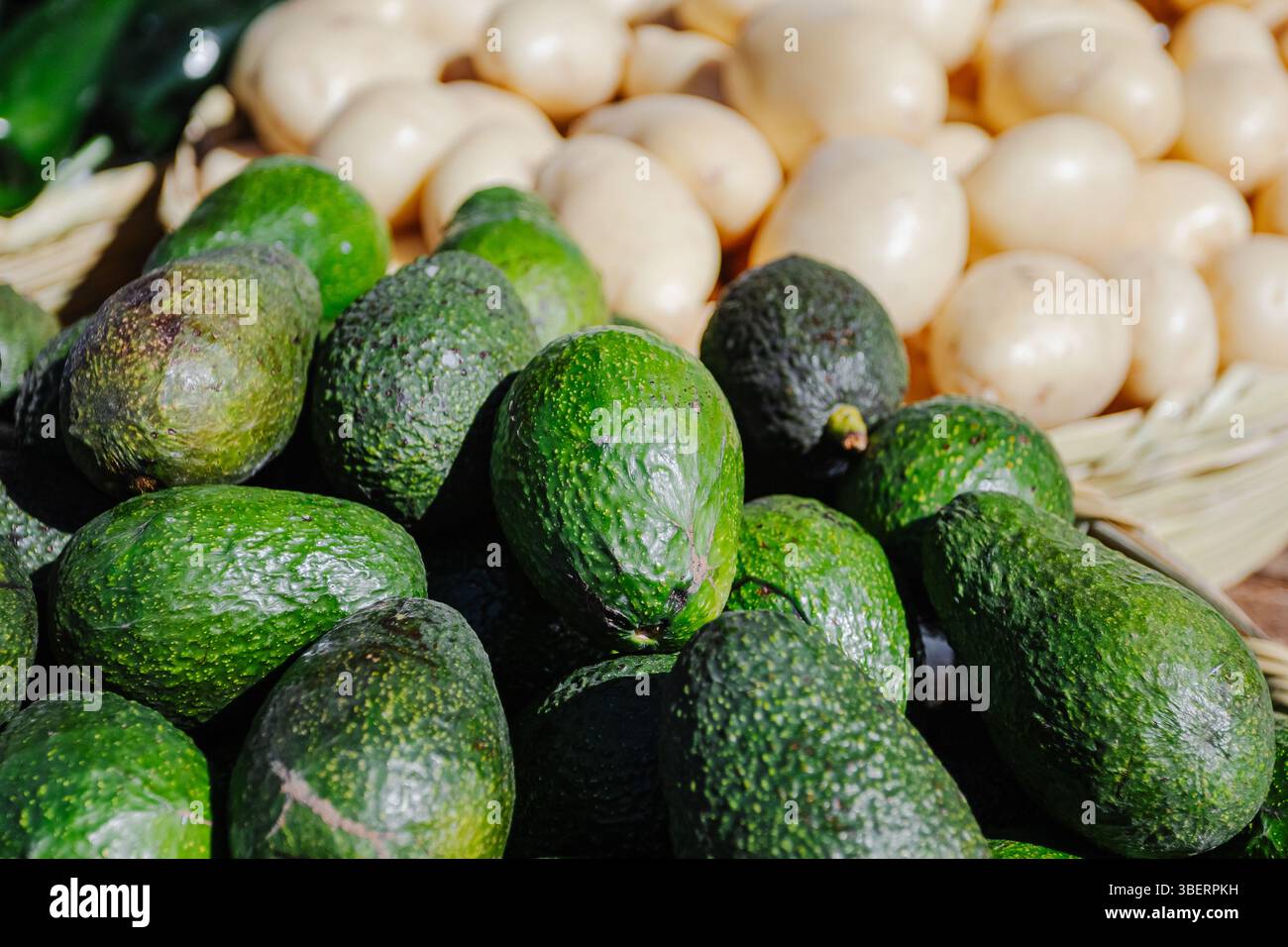Avocado skin hi-res stock photography and images - Alamy