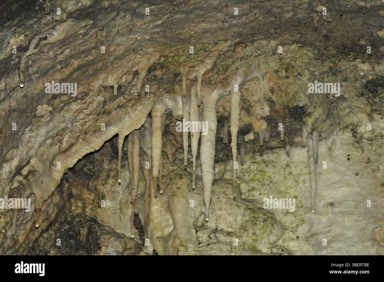 Stalagmites stalagtites hi-res stock photography and images - Alamy
