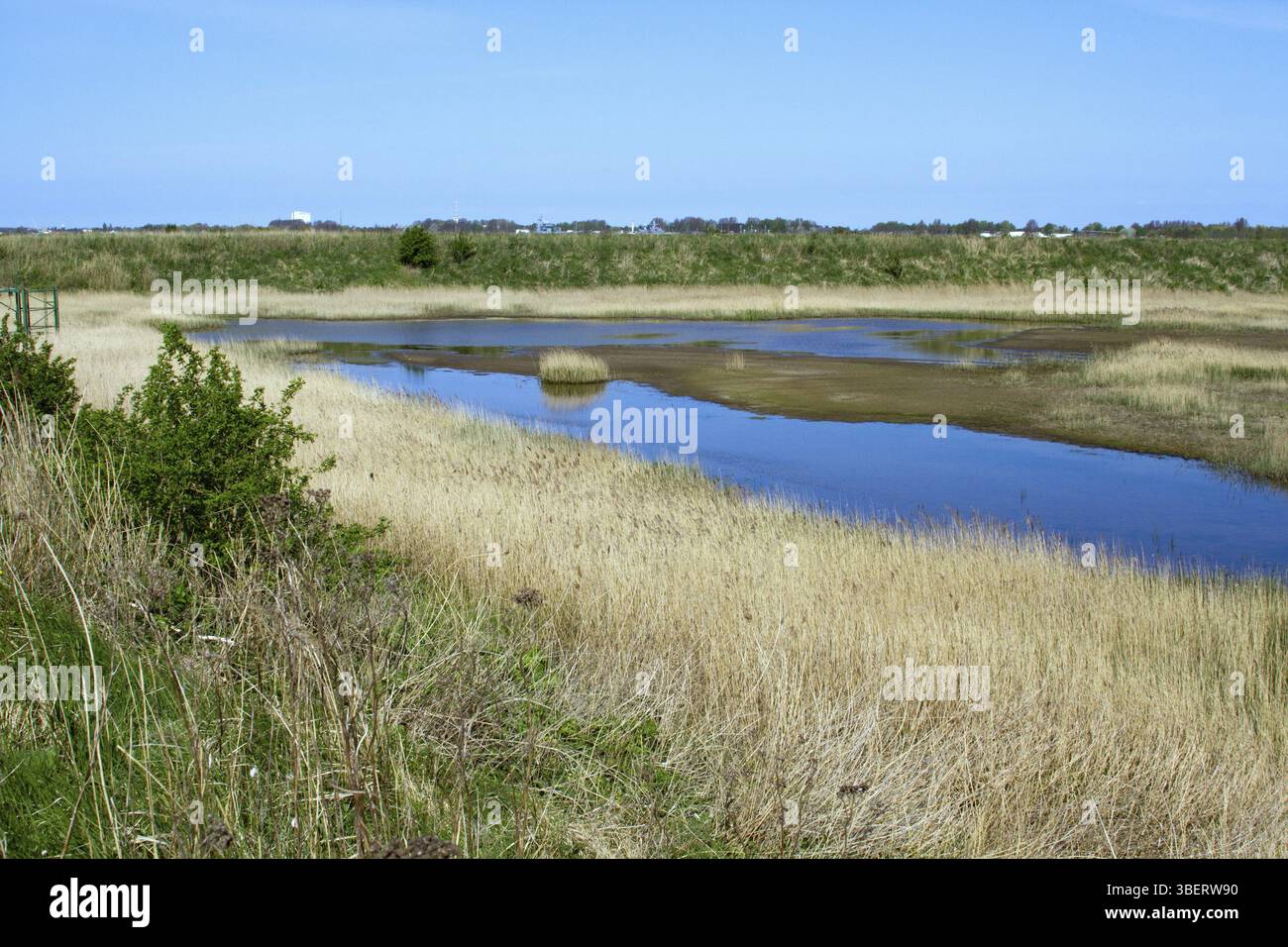 Flushing fields Schnatermann Stock Photo - Alamy