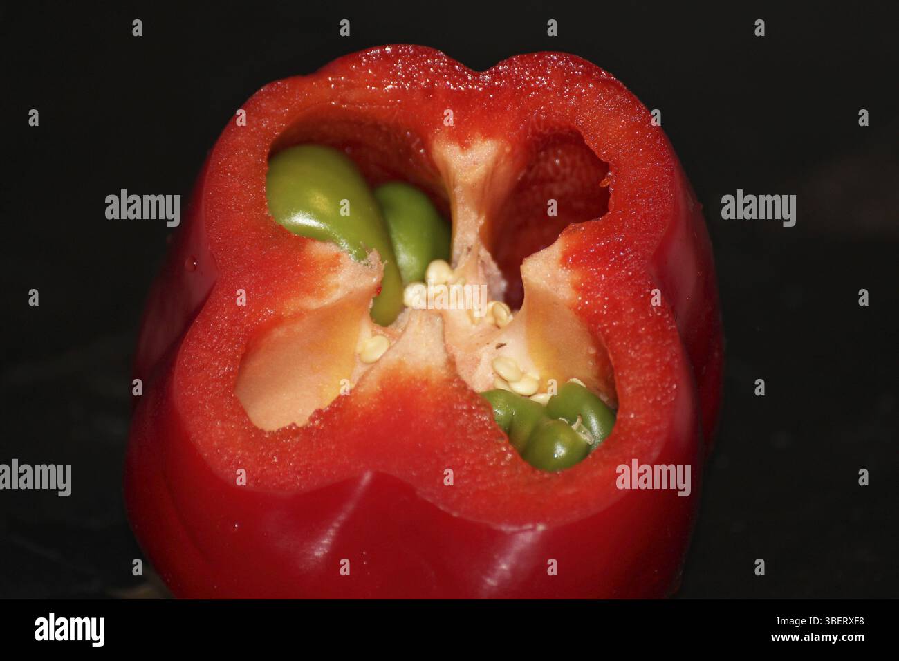 Paprika (capsicum annuum Stock Photo - Alamy