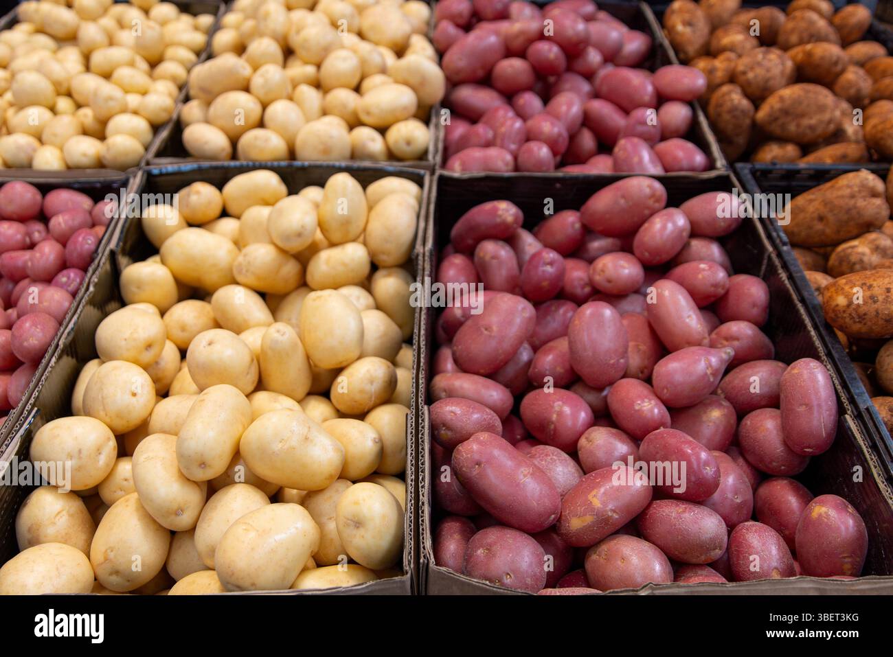 Variety sizes colors potatoes sale hi-res stock photography and images ...