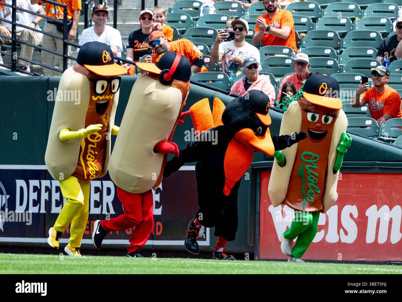 Hot Dog race during the fourth inning at a baseball game on May 15 ...