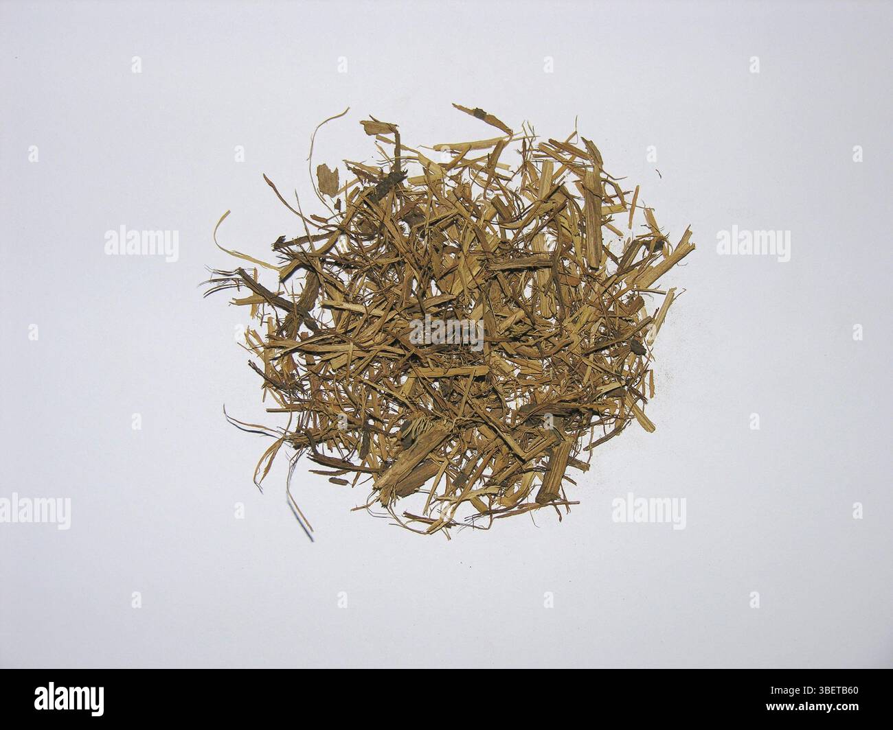 Ayahuasca (Banisteriopsis caapi Stock Photo - Alamy