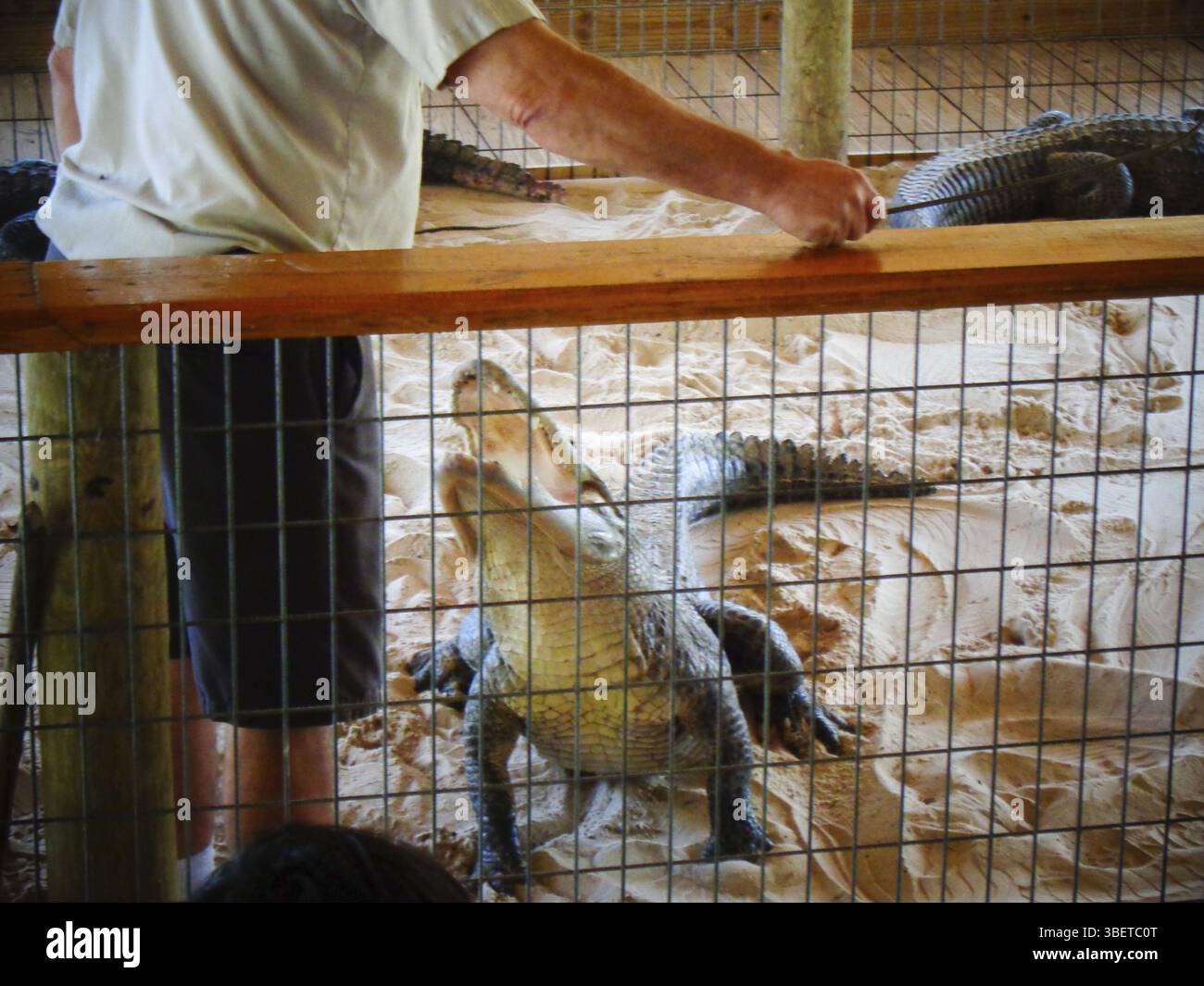 Snapping up hi-res stock photography and images - Alamy