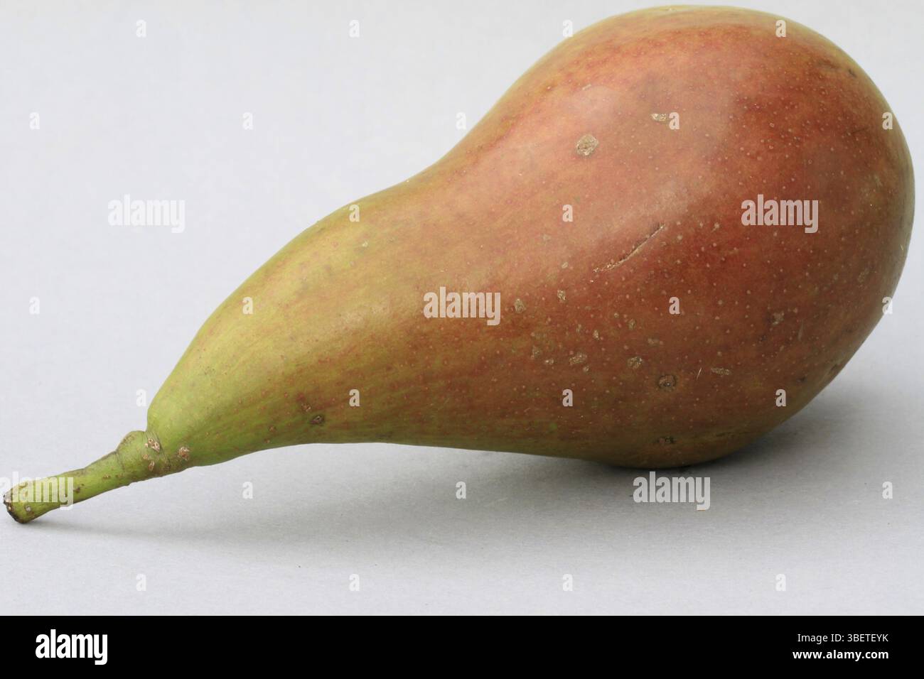 Native pear hi-res stock photography and images - Alamy