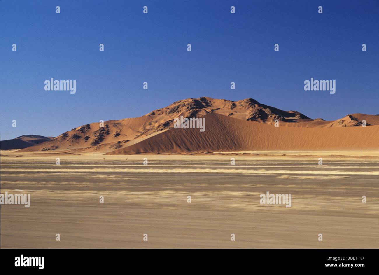 Thirst desert hi-res stock photography and images - Alamy