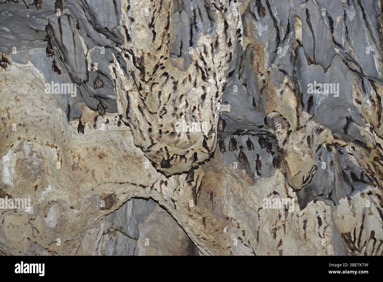 Puerto Princesa Underground River Palawan Stock Photo - Alamy