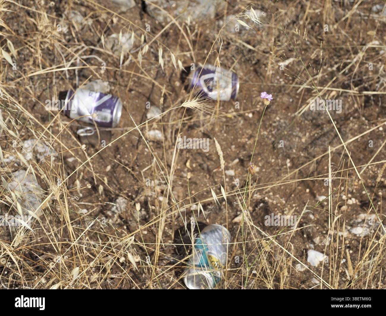 Waste pollution from old cans Stock Photo - Alamy
