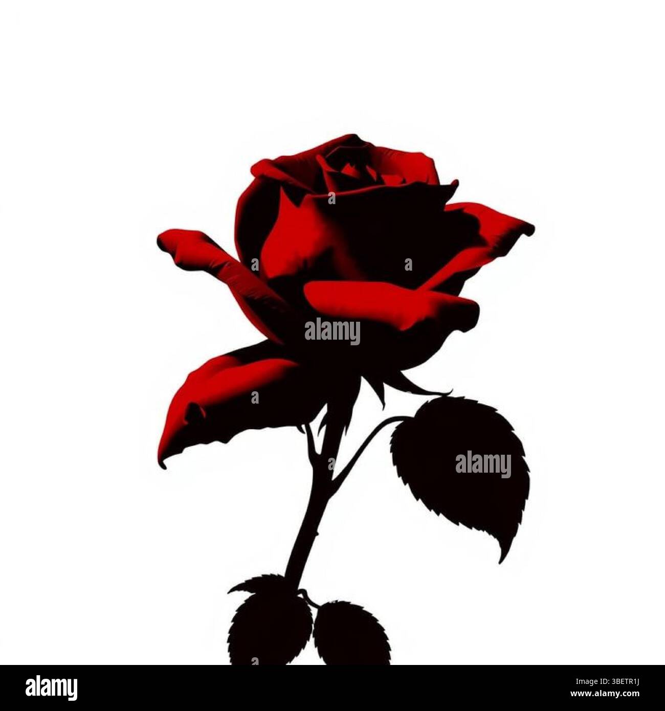 Rose timeless Stock Vector Images - Alamy