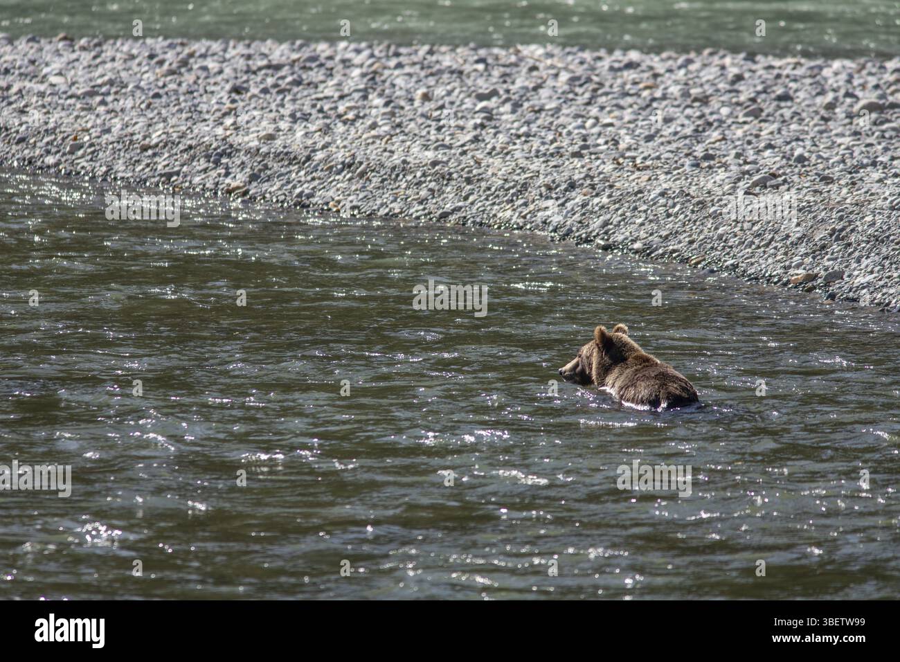 West coast usa canada hi-res stock photography and images - Alamy