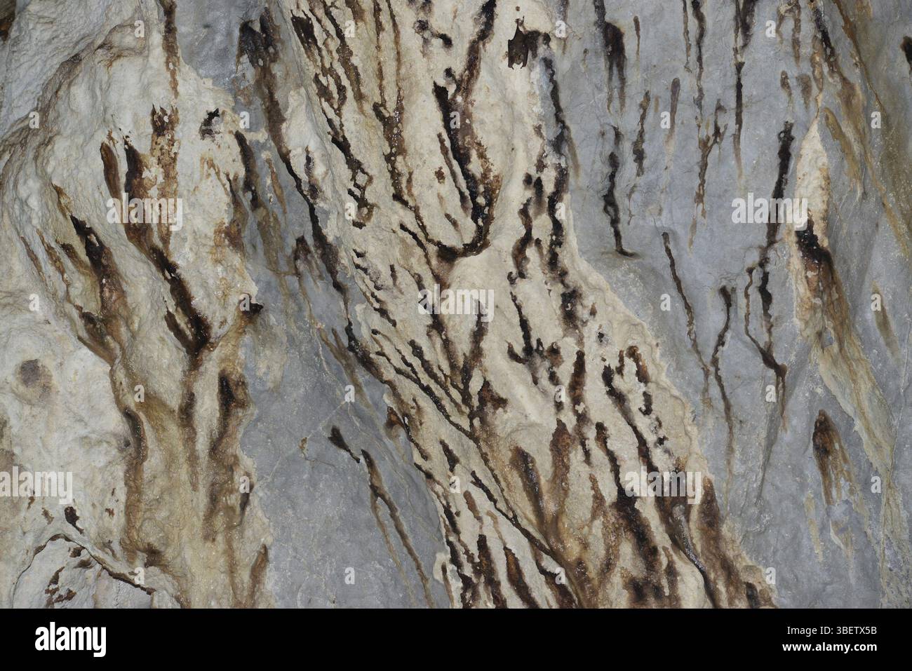 Puerto Princesa Underground River Palawan Stock Photo - Alamy