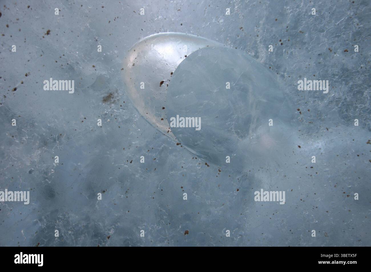 Glacier ice with air entrapment Stock Photo - Alamy