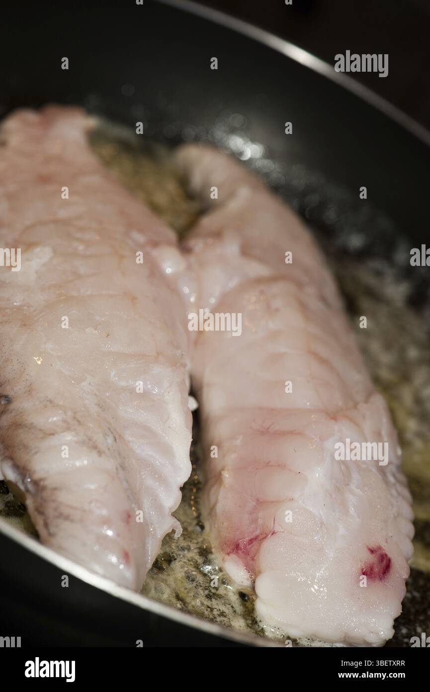 Lophius piscatorius hi-res stock photography and images - Alamy