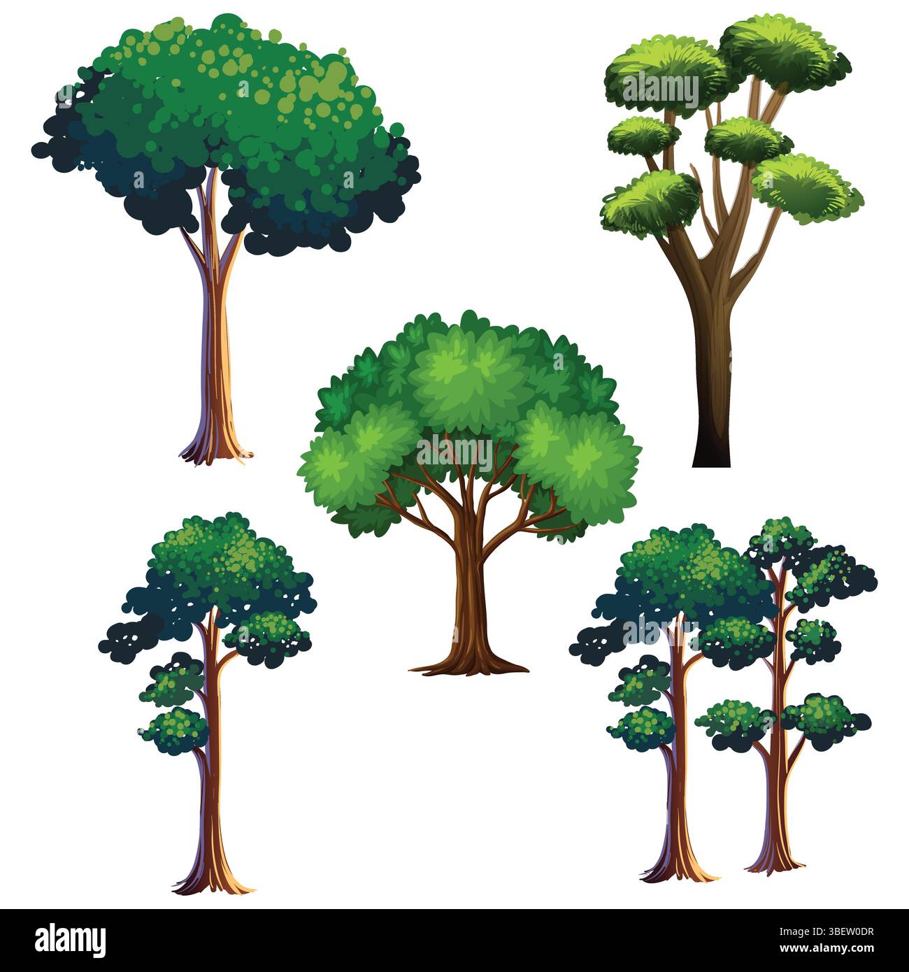 Tall grass field with leaves Stock Vector Images - Alamy