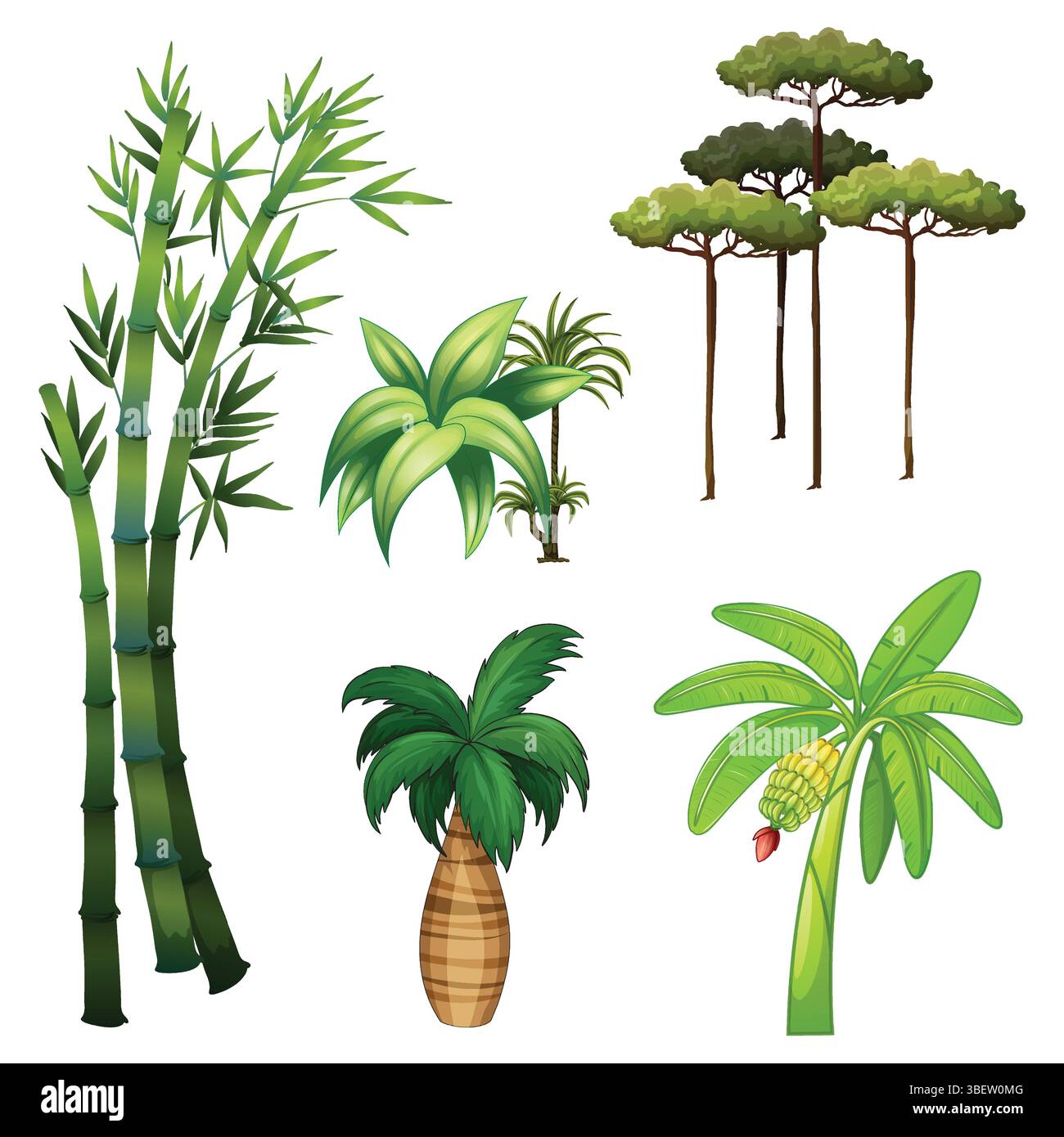 Tall trees vector vectors Stock Vector Images - Alamy