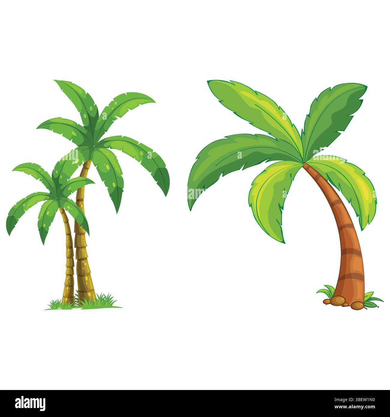 Dates plant Stock Vector Images - Alamy