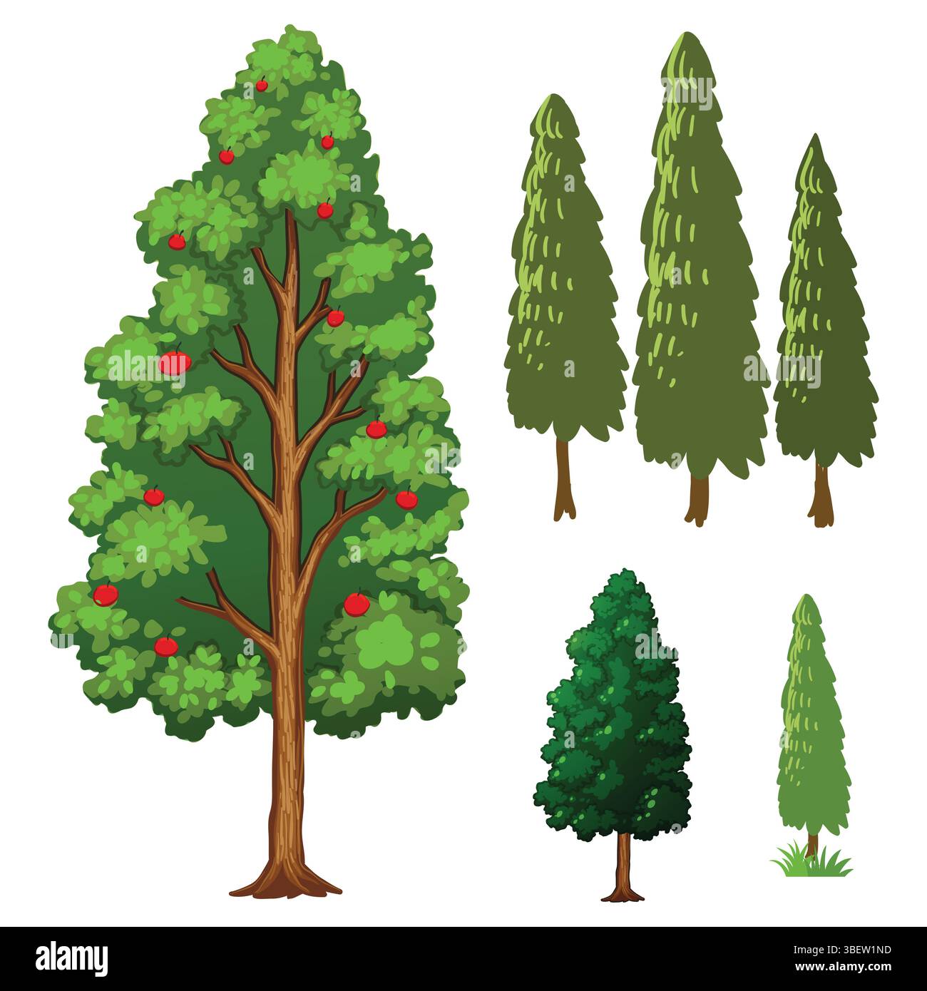 Oak tree green leaf Stock Vector Images - Alamy