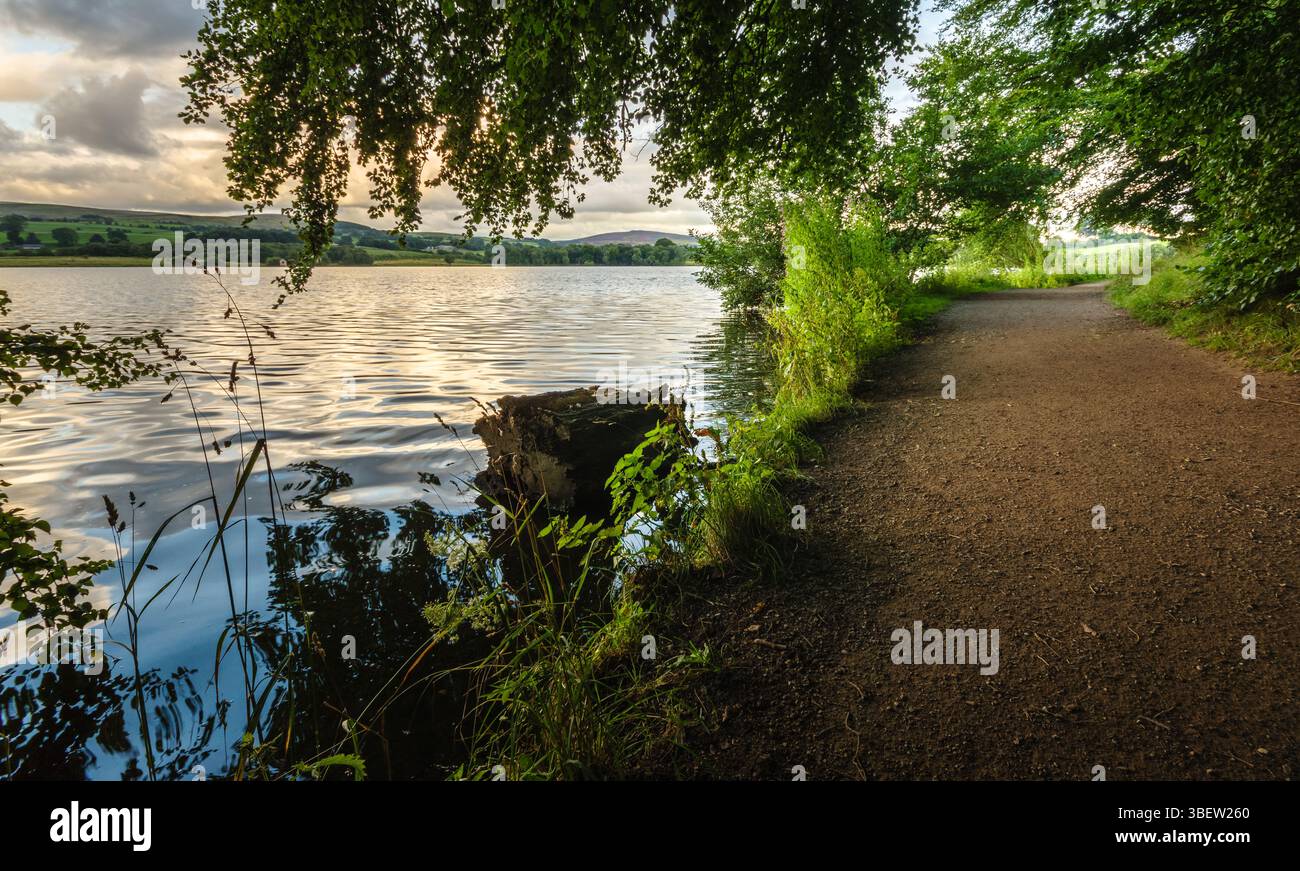 Path next to Talkin Tarn lake with overhanging trees Stock Photo - Alamy