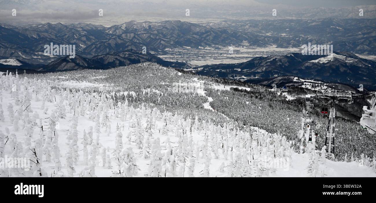 Snow covered trees atop Mount Zao at the Zao Ski Resort, Yamagata ...