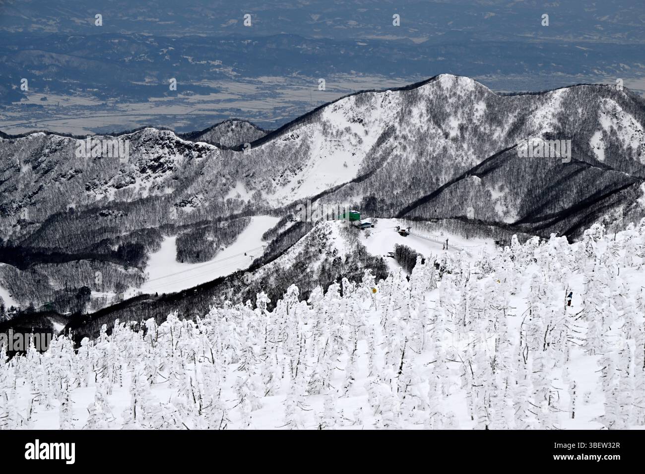 Snow covered trees atop Mount Zao at the Zao Ski Resort, Yamagata ...