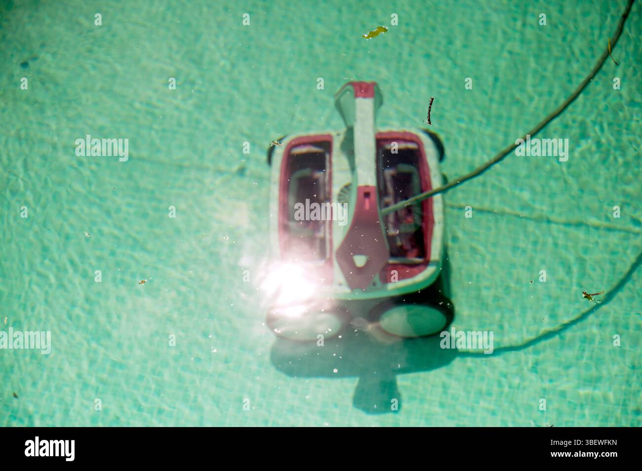 Automatic robotic pool vacuum cleaner under water cleaning the floor ...