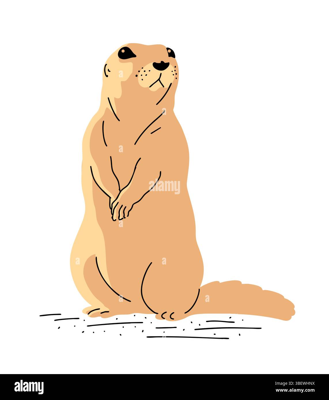 Paws stands Cut Out Stock Images & Pictures - Alamy