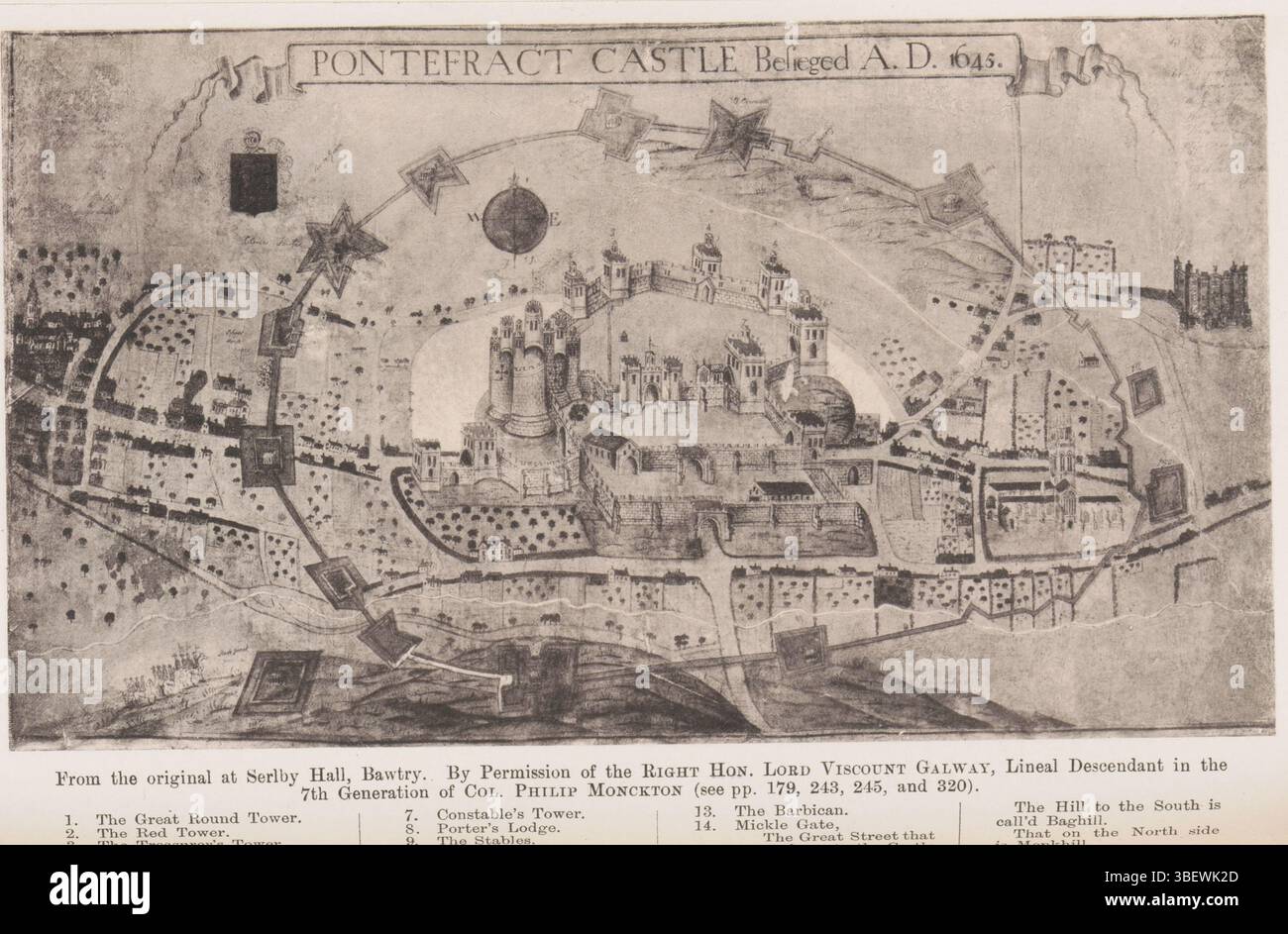 Linear descendant hi-res stock photography and images - Alamy