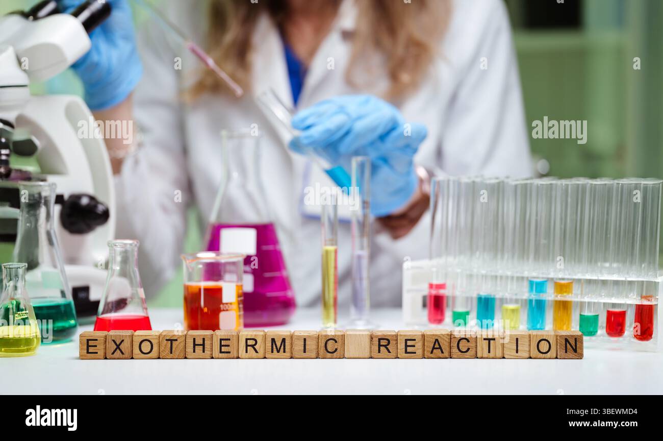 Demonstration of an Exothermic Reaction Conducted Within a Laboratory ...
