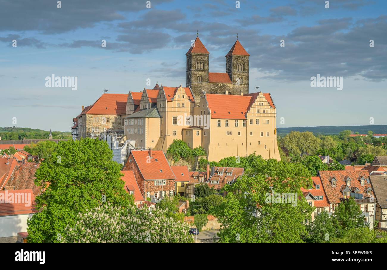 Dom, Stiftskirche St. Servatius, Quedlinburg, Sachsen-Anhalt ...