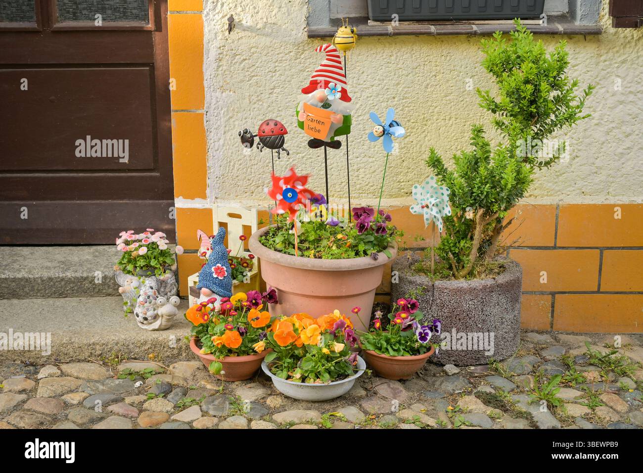 Blumen, Dekoration an einem Haus auf dem Münzenberg, Altstadt ...