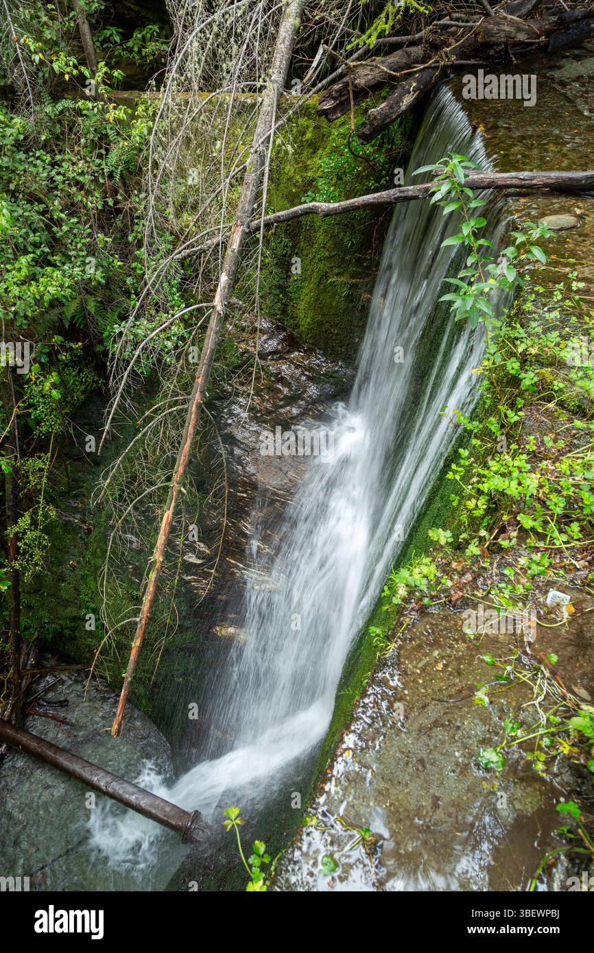 One Mile Creek Dam part of a former hydro-electric scheme started in ...