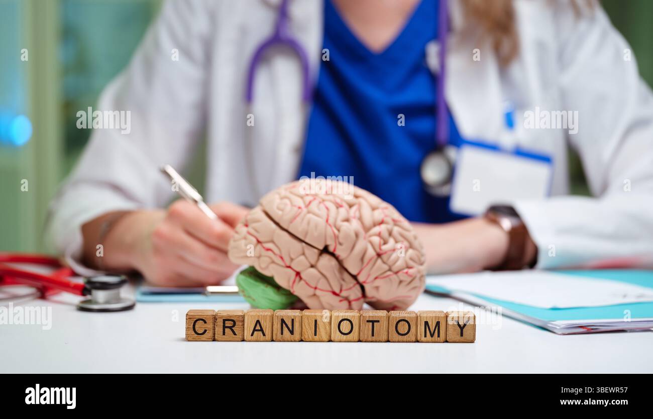 A skilled medical professional reviews a brain model while discussing ...