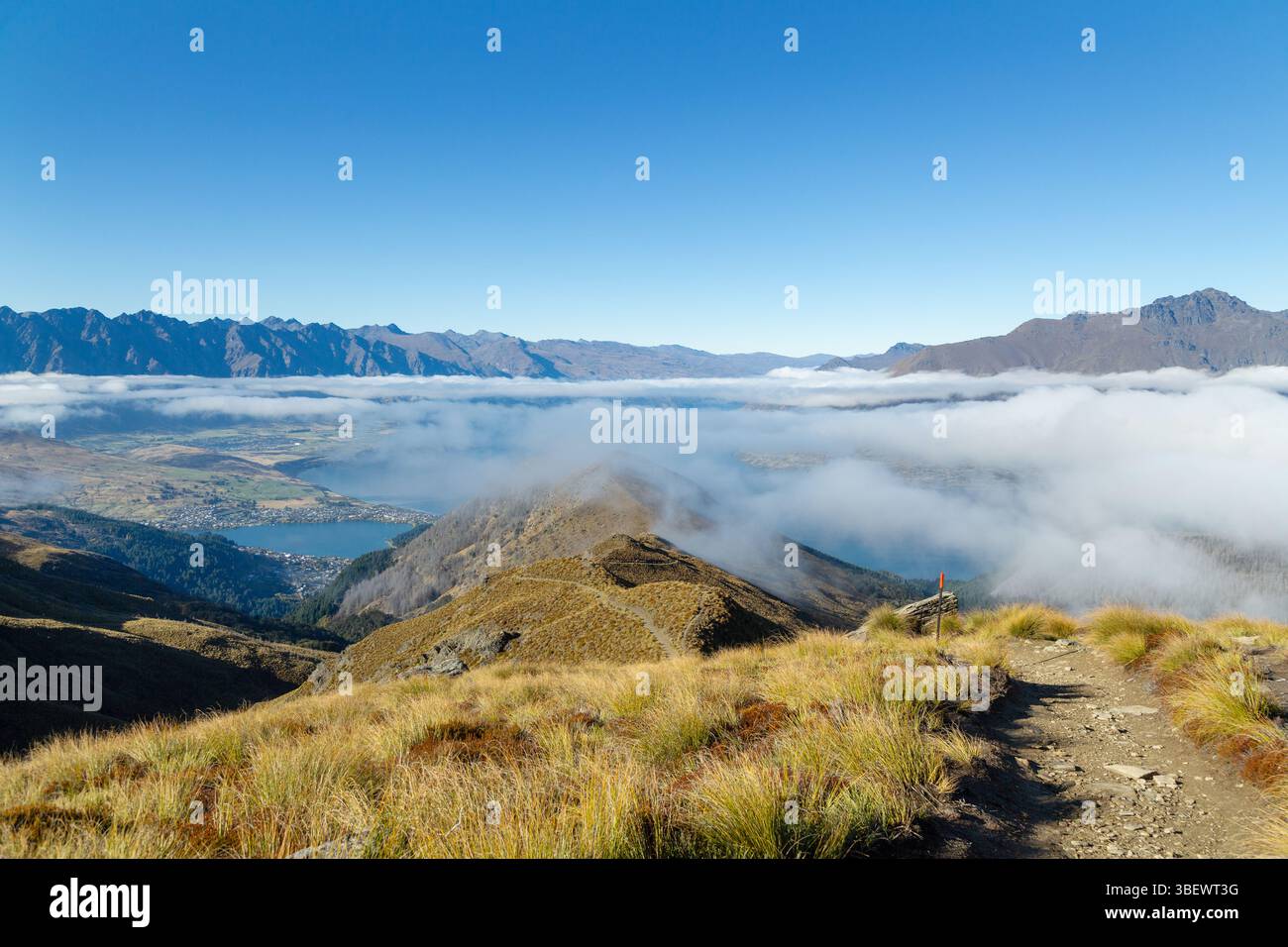 A stunning morning on Ben Lomond track with a cloud inversion above ...