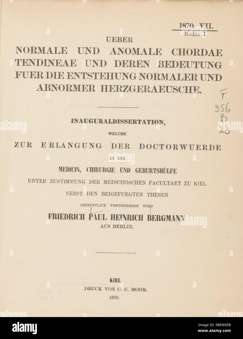 Ueber normale und normale chodae tendineae und deren bedeutung f hi-res ...