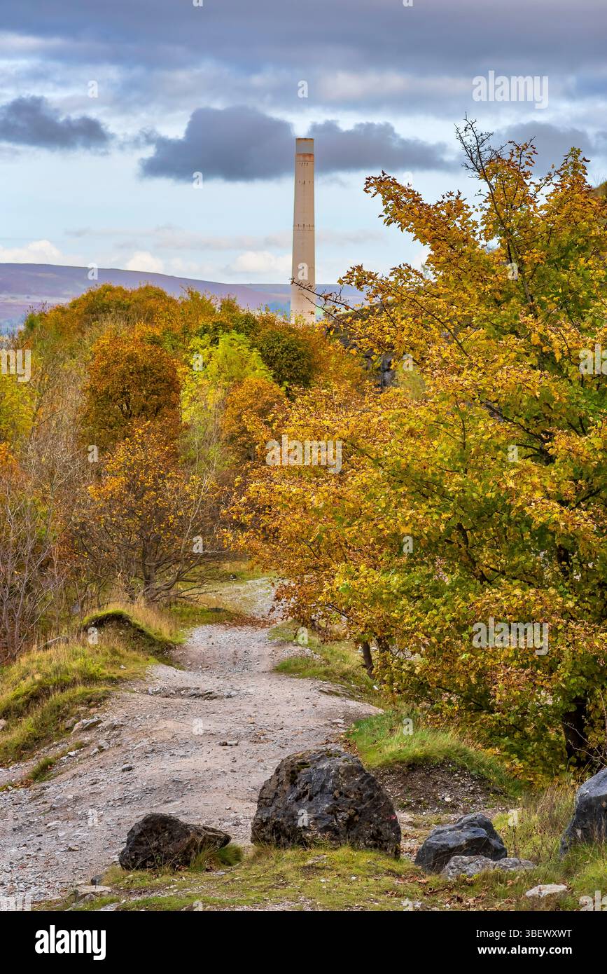 The chimney of Hope Cement Works rises over the trees in the abandoned ...