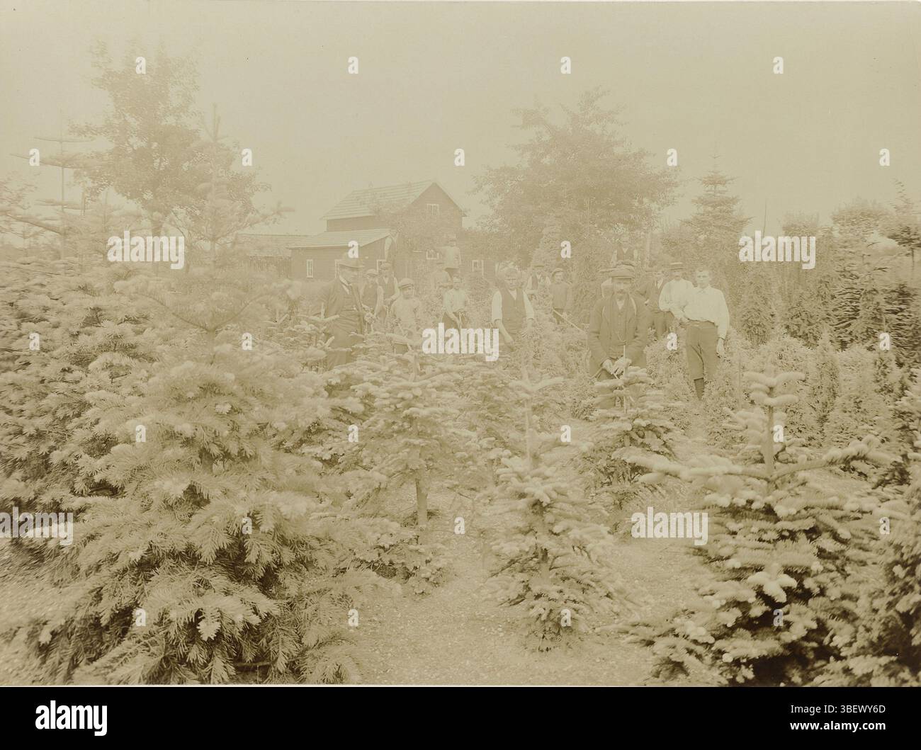 Den achtergrond de pak schuur hi-res stock photography and images - Alamy