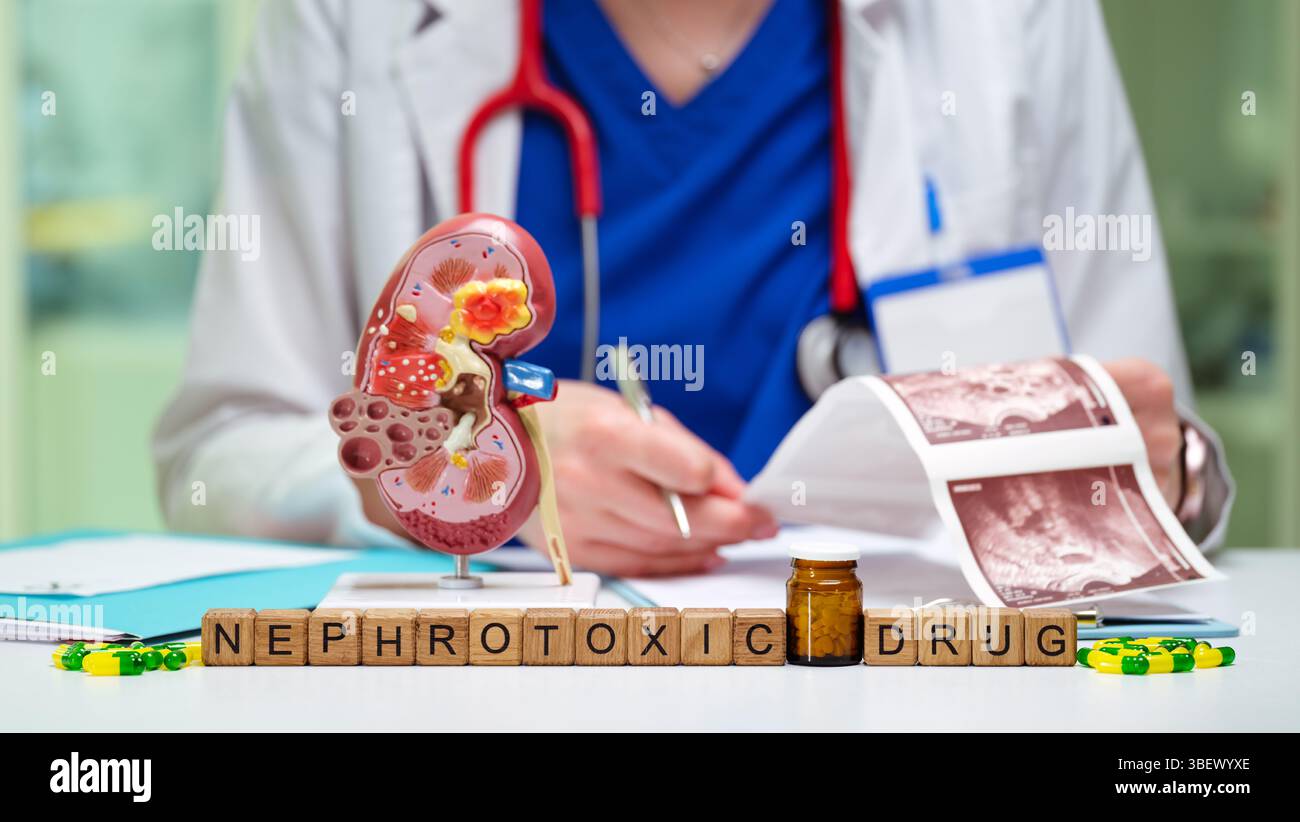 It is essential to thoroughly understand the nephrotoxic drugs and ...