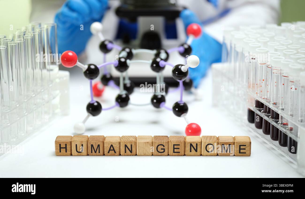 Exploring the intricate Human Genome and its Molecular Insights ...