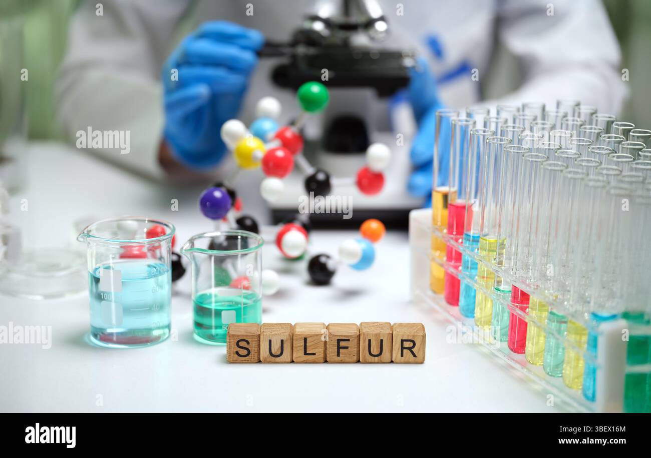Research on sulfur compounds, their molecular structures, and ...
