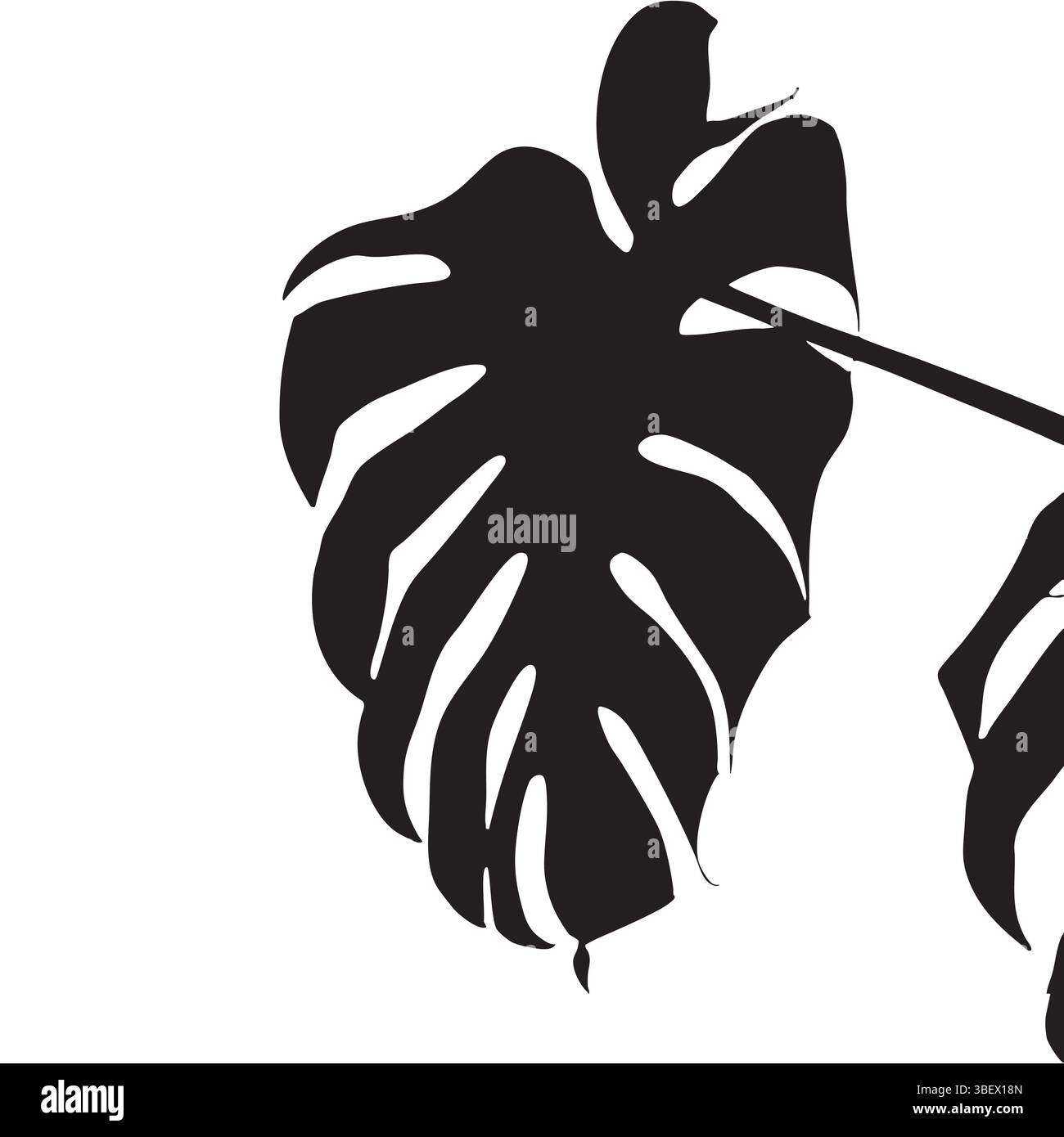 Leaf tropical plant isolated Stock Vector Images - Alamy