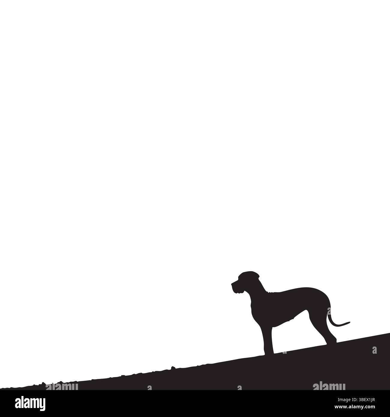 Silhouette of Dog Standing Alone on Hill with White Sky Background ...