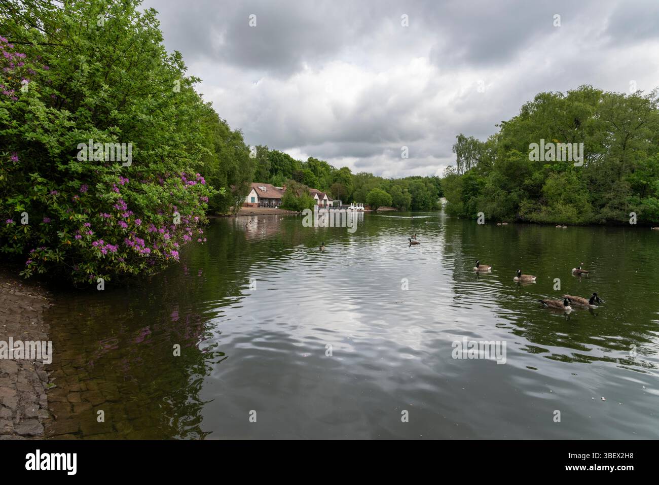 The boating lake at Heaton Park in North Manchester, England Stock ...