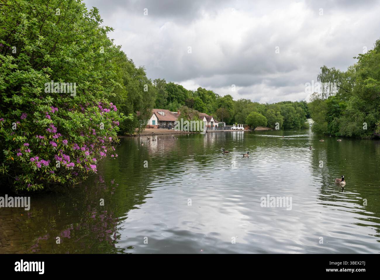 The boating lake at Heaton Park in North Manchester, England Stock ...