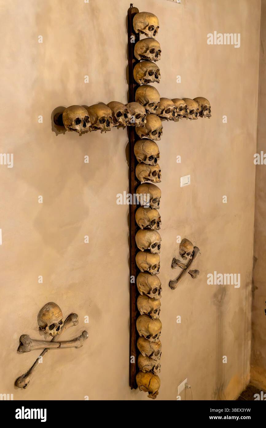 Anatomical relics hi-res stock photography and images - Alamy